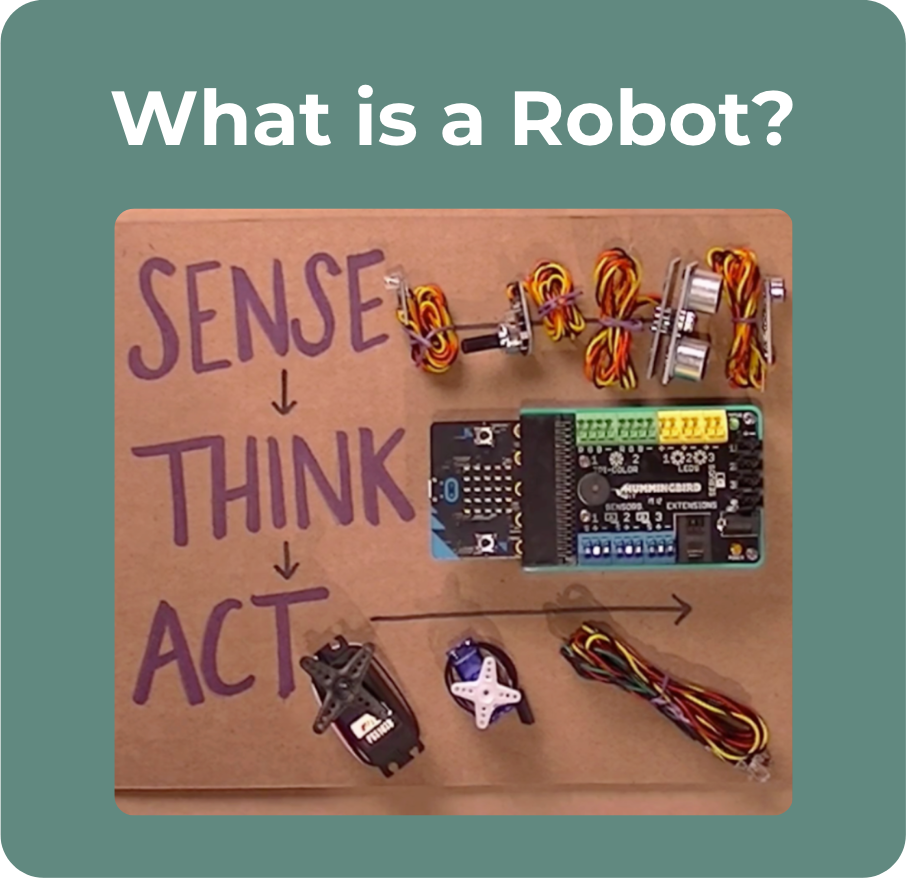 Level Up Your Hummingbird Projects | CodeJoy